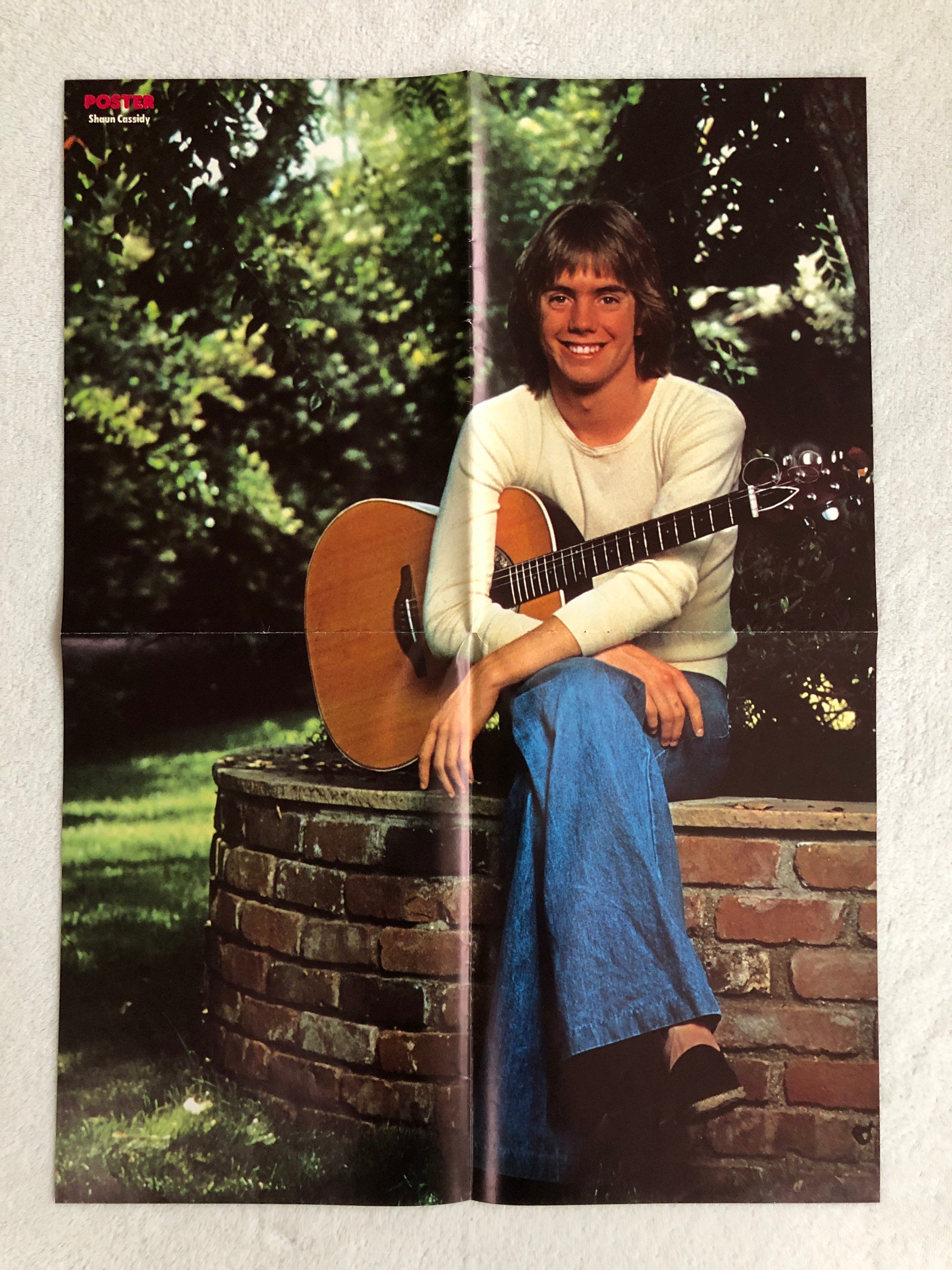 Shaun Cassidy 1978 Swedish Poster Magazine 1970s Vintage Rare - Etsy