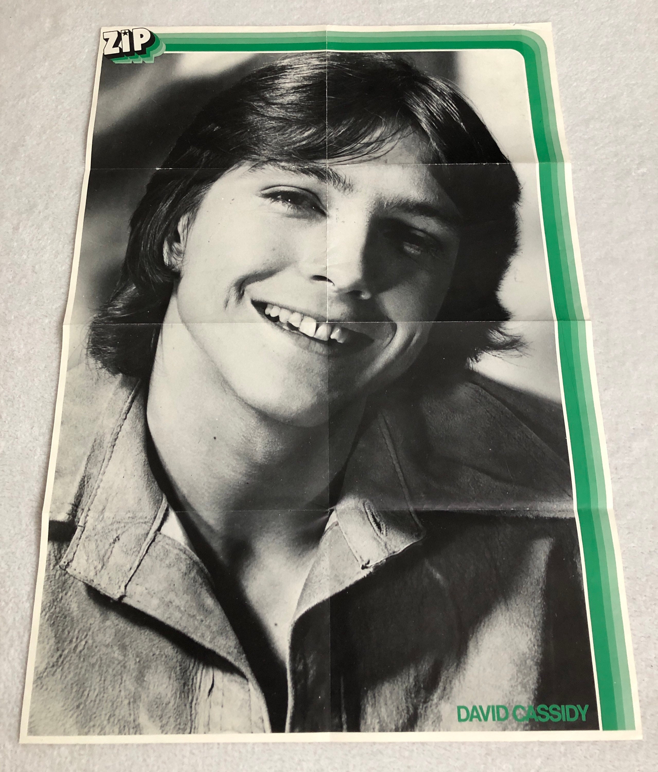 David Cassidy Life Size Poster