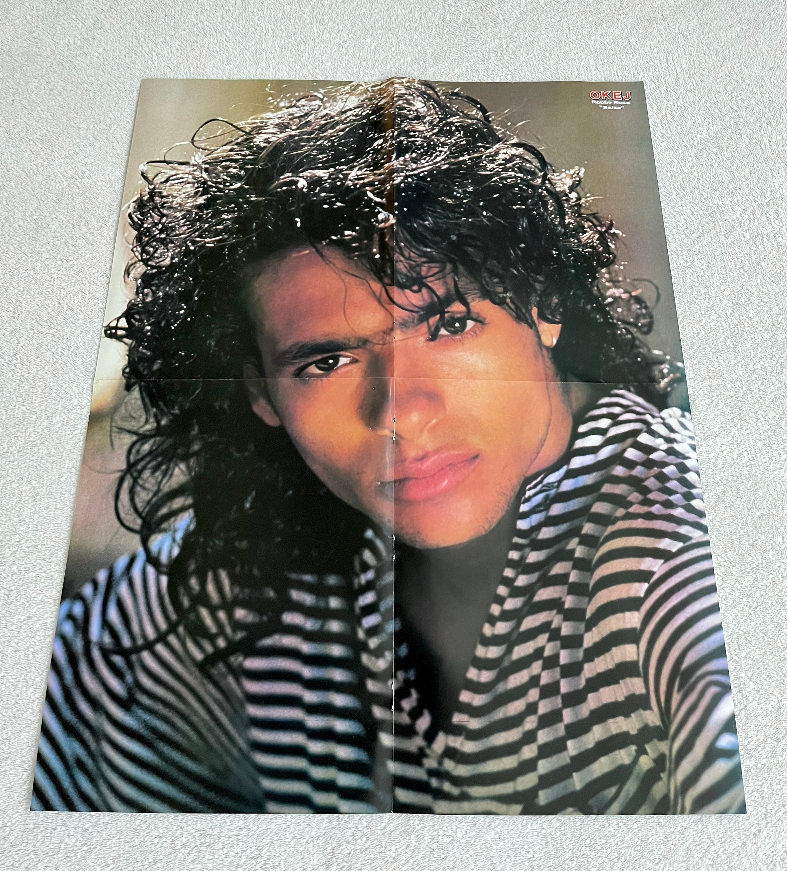 Robi Draco Rosa Menudo