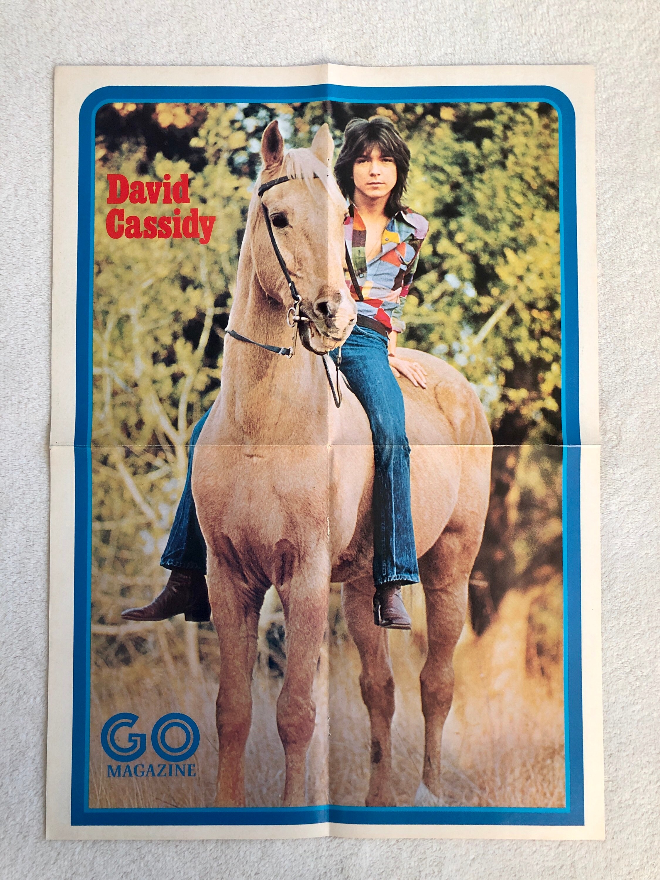 David Cassidy Poster