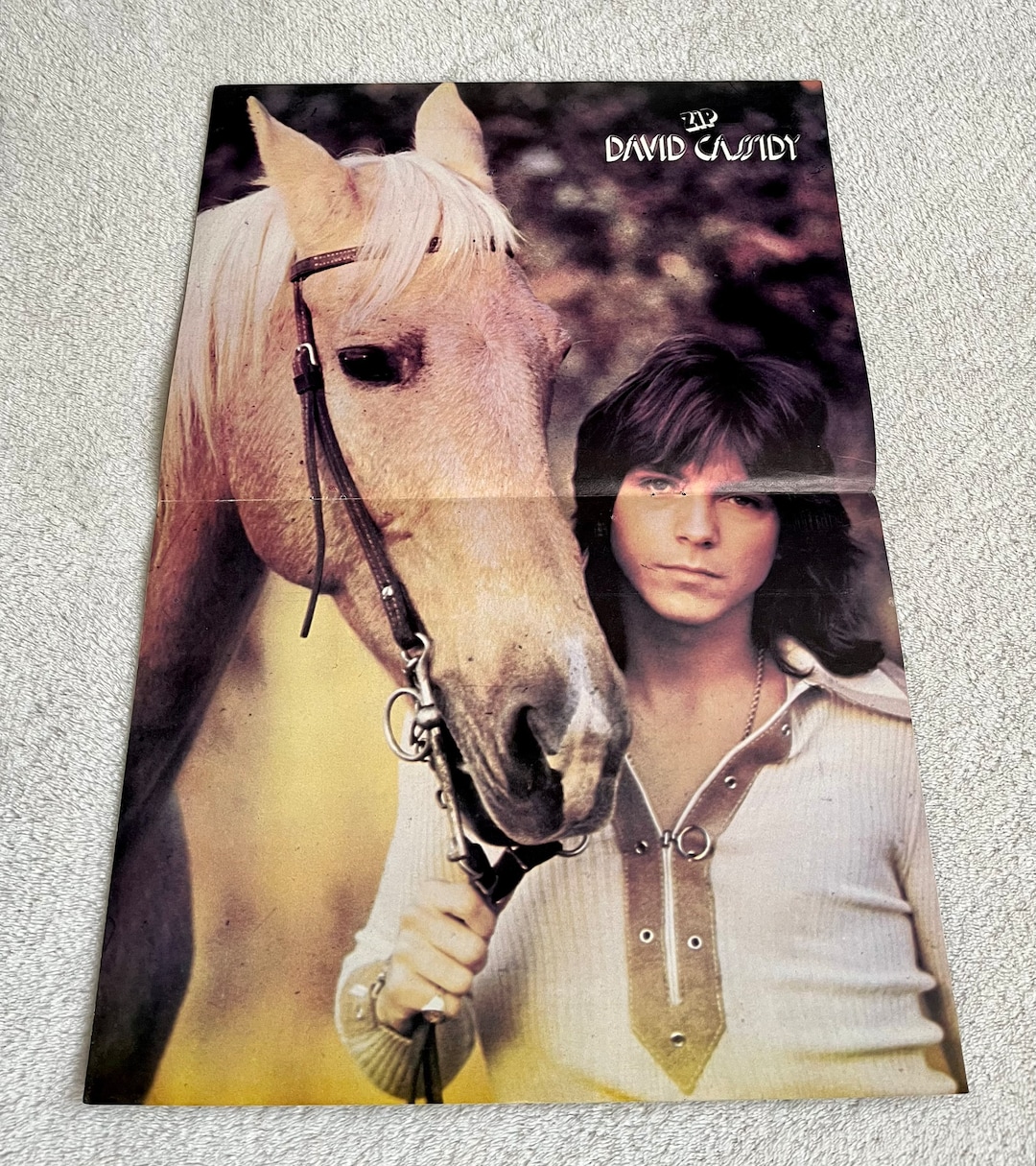 David Cassidy Poster 1973 Swedish Poster Magazine 1970s Vintage Rare - Etsy