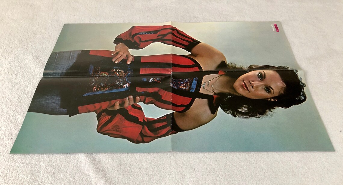 Barbi Benton Poster 1977 Swedish Poster Magazine 1970s Playboy - Etsy