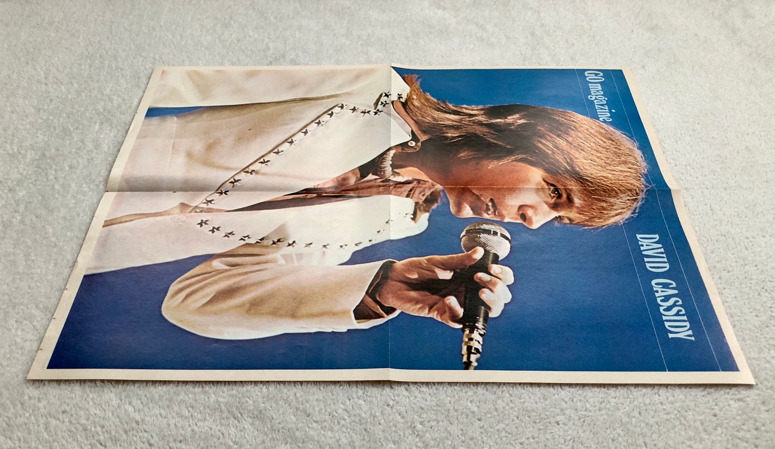 David Cassidy Poster 1974 Swedish Poster Magazine GO 1970s the - Etsy