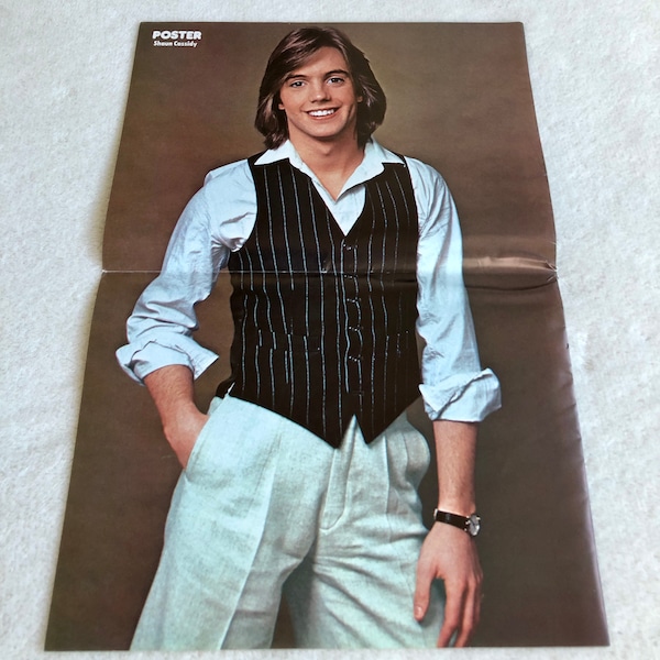 Shaun Cassidy Etsy 3935