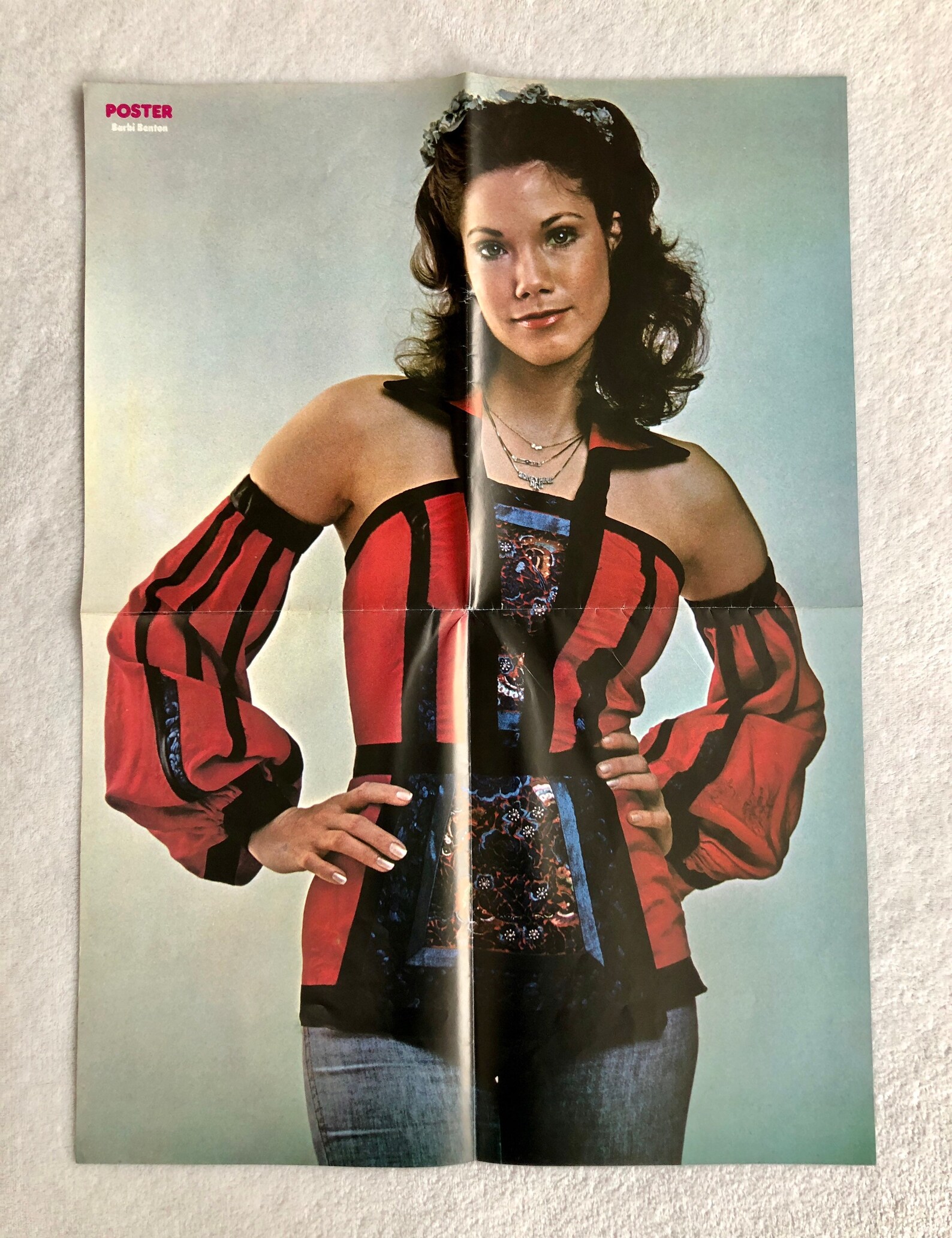 Barbi Benton Poster 1977 Swedish Poster Magazine 1970s Playboy - Etsy
