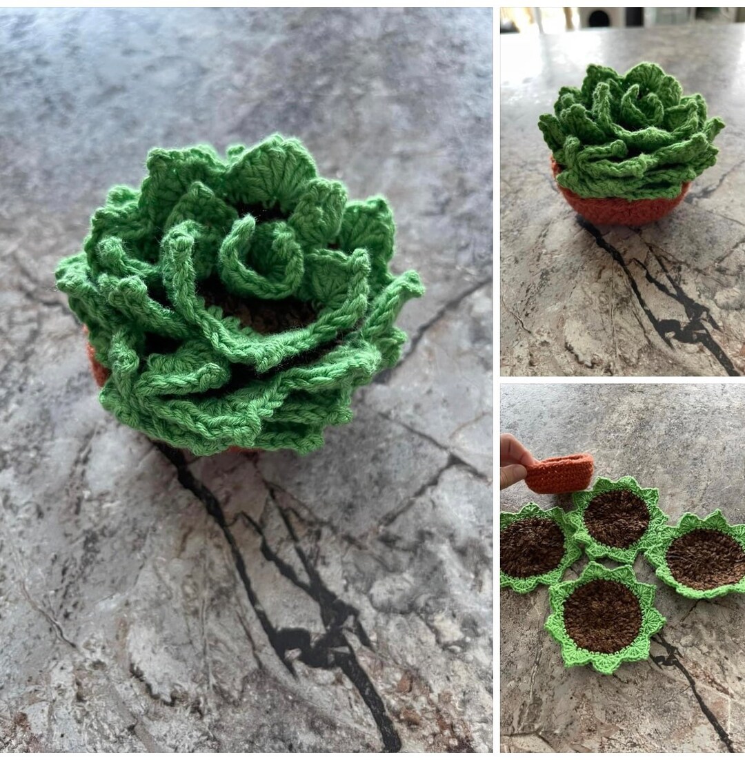 Succulent Crochet Coaster Plant Decoration Home Accessories - Etsy Canada