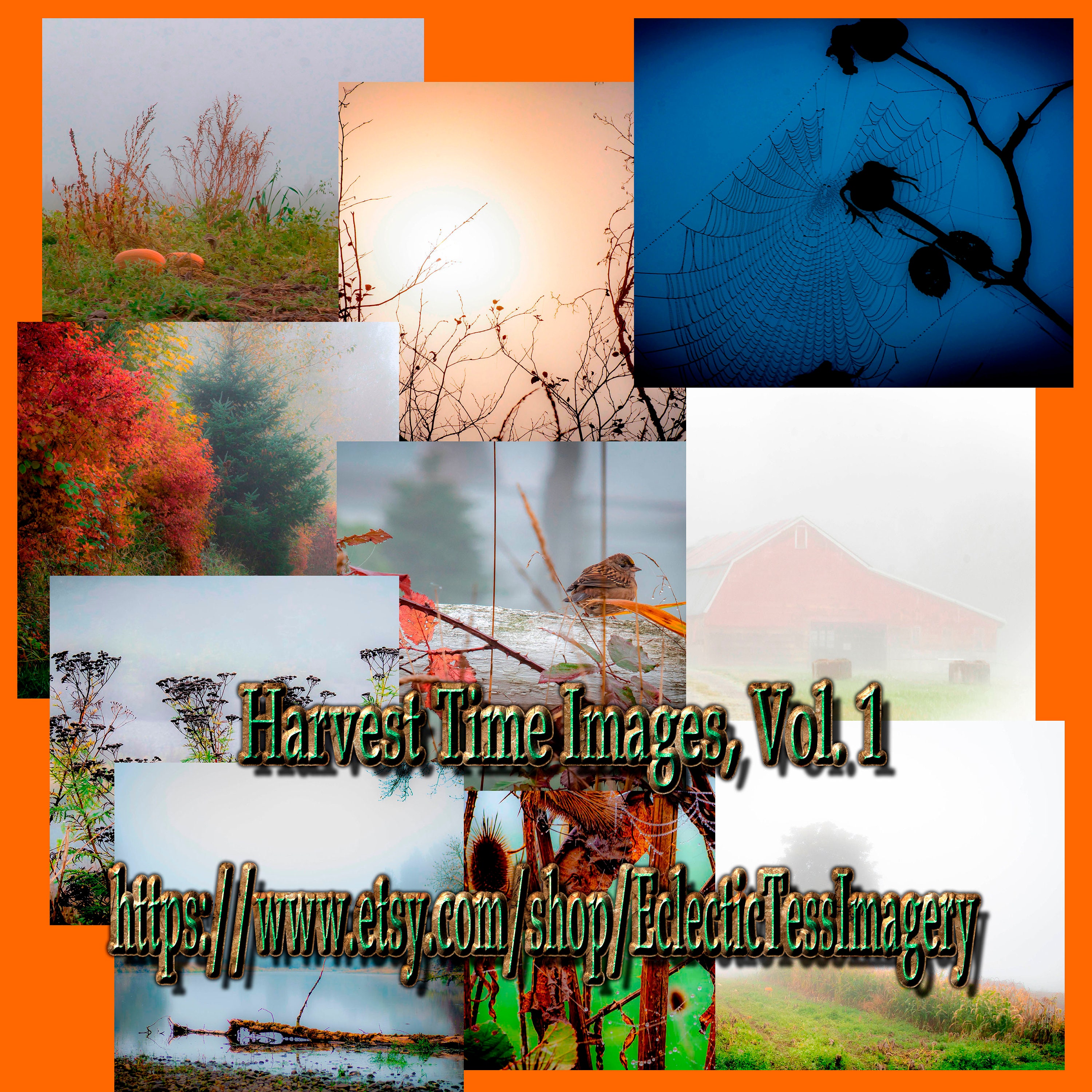 Harvest Time Themed Digital Papers: Printable Backgrounds, Wallpaper ...