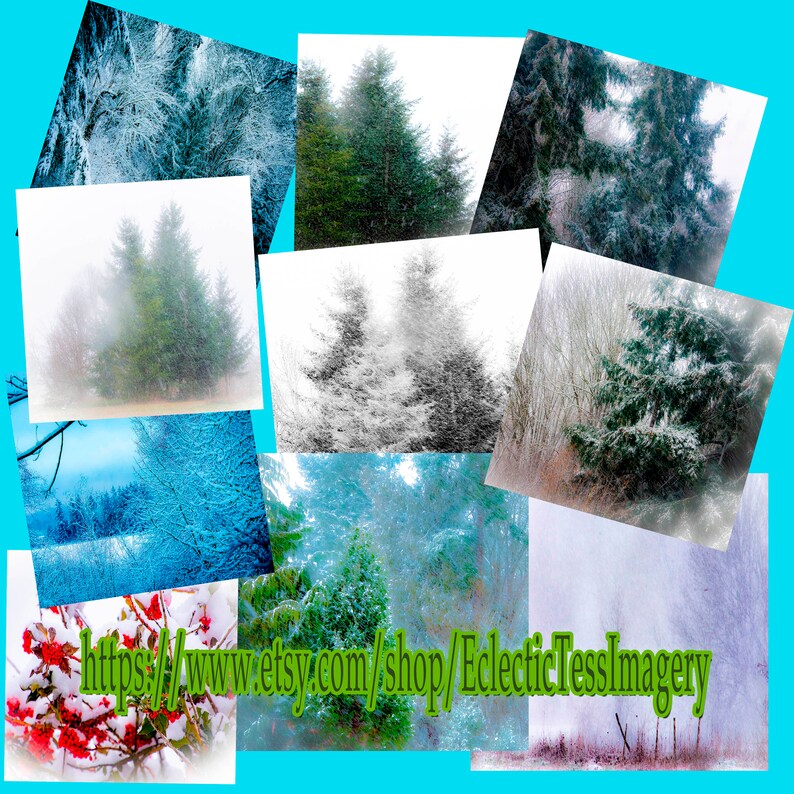 Winter Wonderland Themed Digital Papers: Digital Printable Backgrounds ...