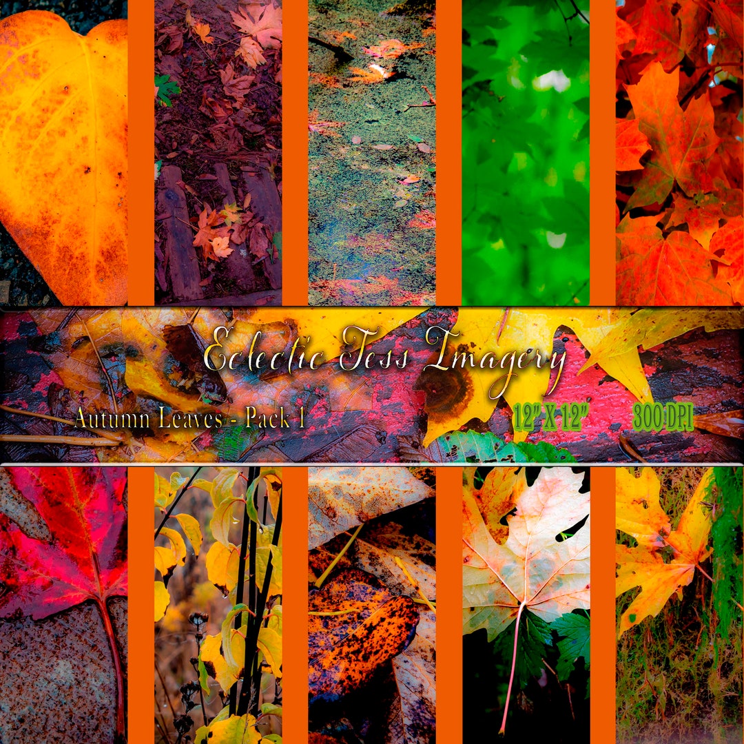 Autumn Leaves Themed Digital Papers: Backdrop Printable Backgrounds ...