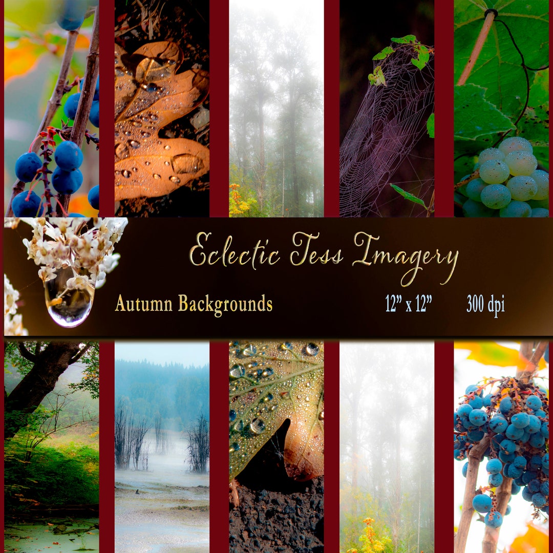 Autumn Themed Digital Papers: Digital Backdrop Printable Backgrounds ...
