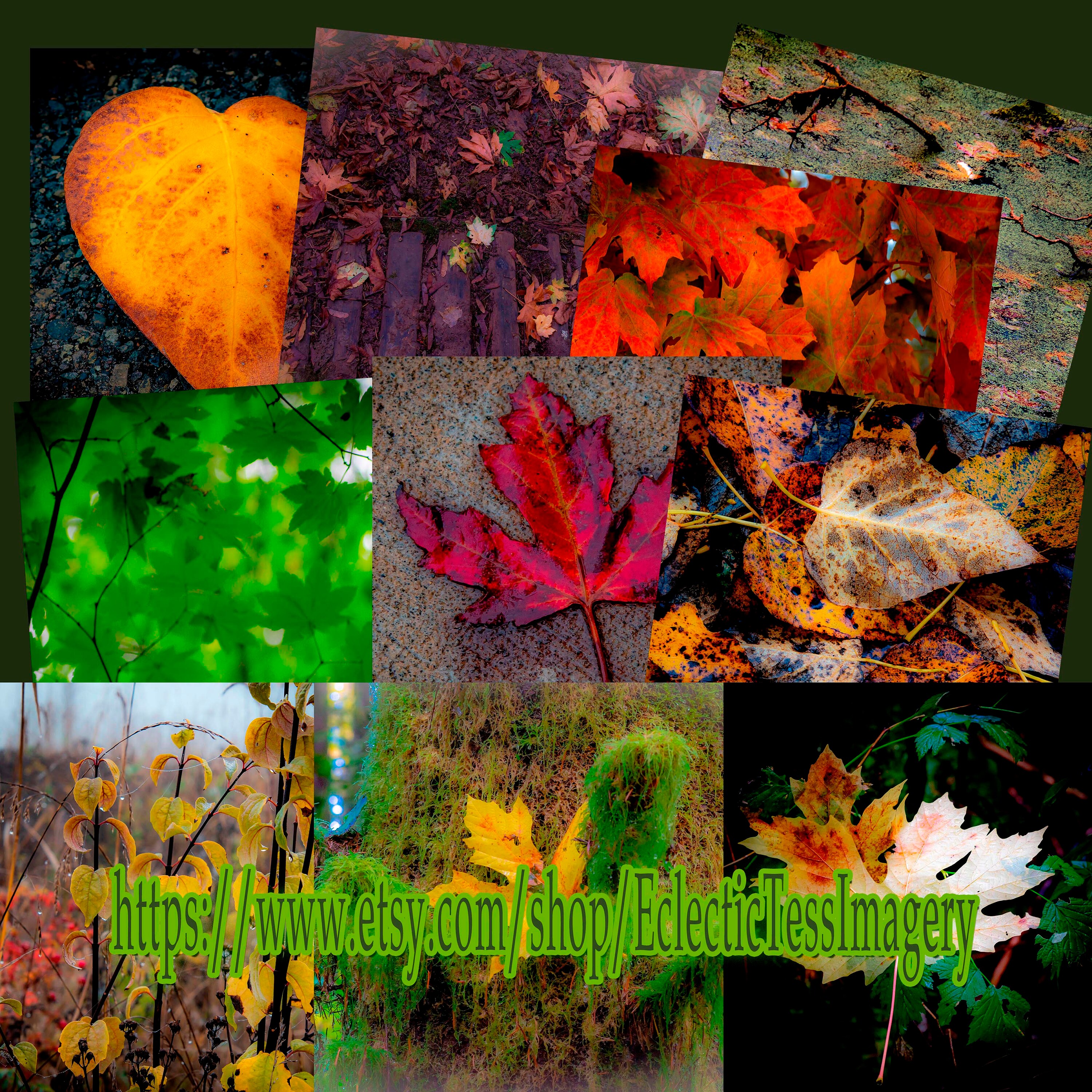 Autumn Leaves Themed Digital Papers: Backdrop Printable Backgrounds ...
