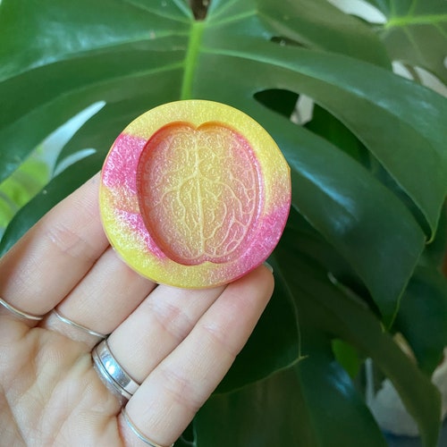 Silicone Brain Mold-creative Brain Resin Molds-brain Candle - Etsy