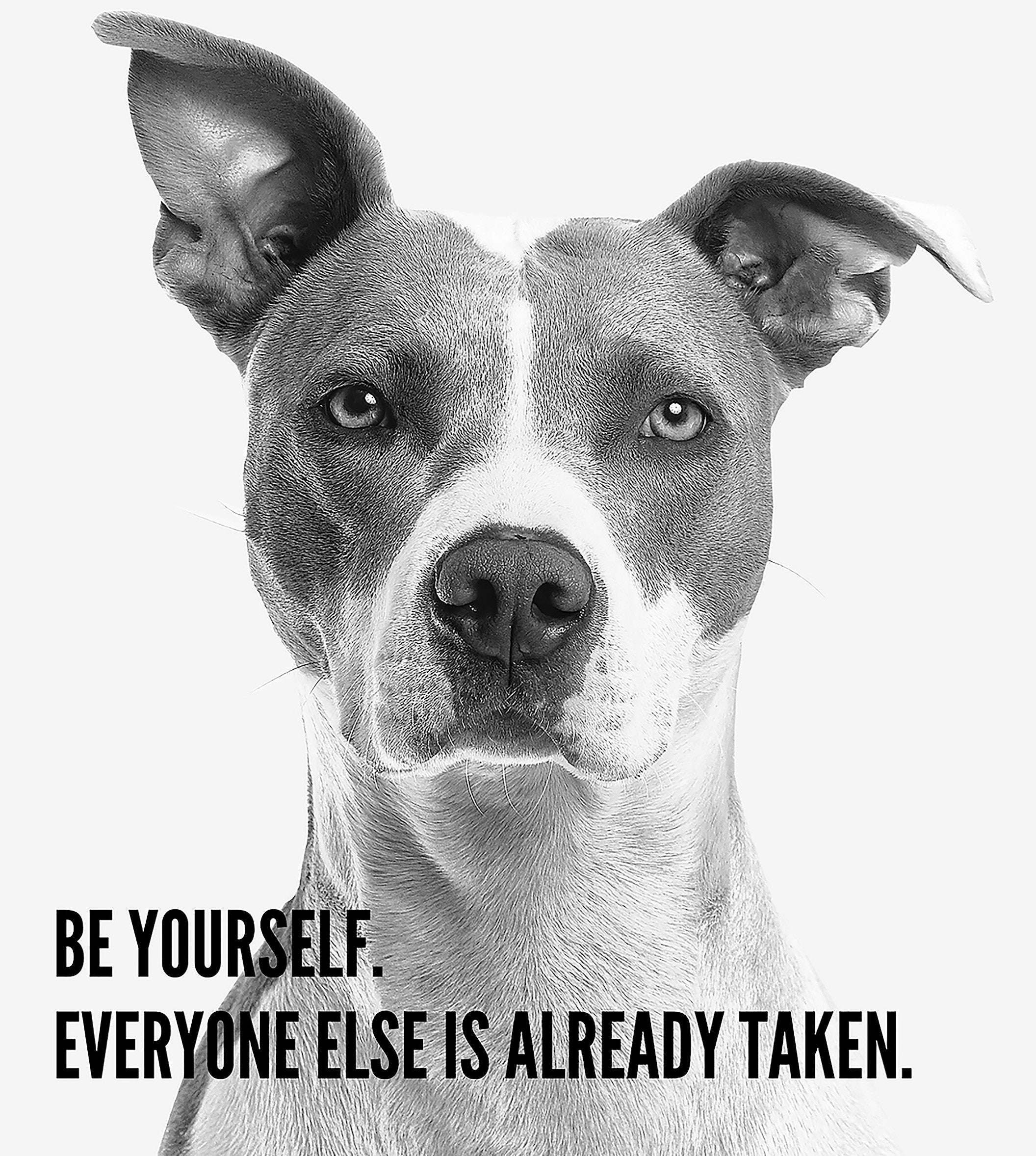 Dog Print Motivational Quote Wall Art Decor Poster Print | Etsy