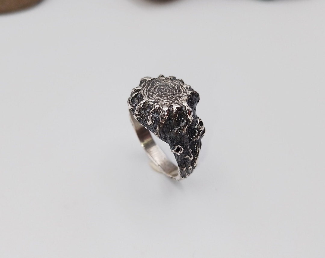 An Exclusive Silver Ring in the Shape of a Tree Stump With a Bark ...