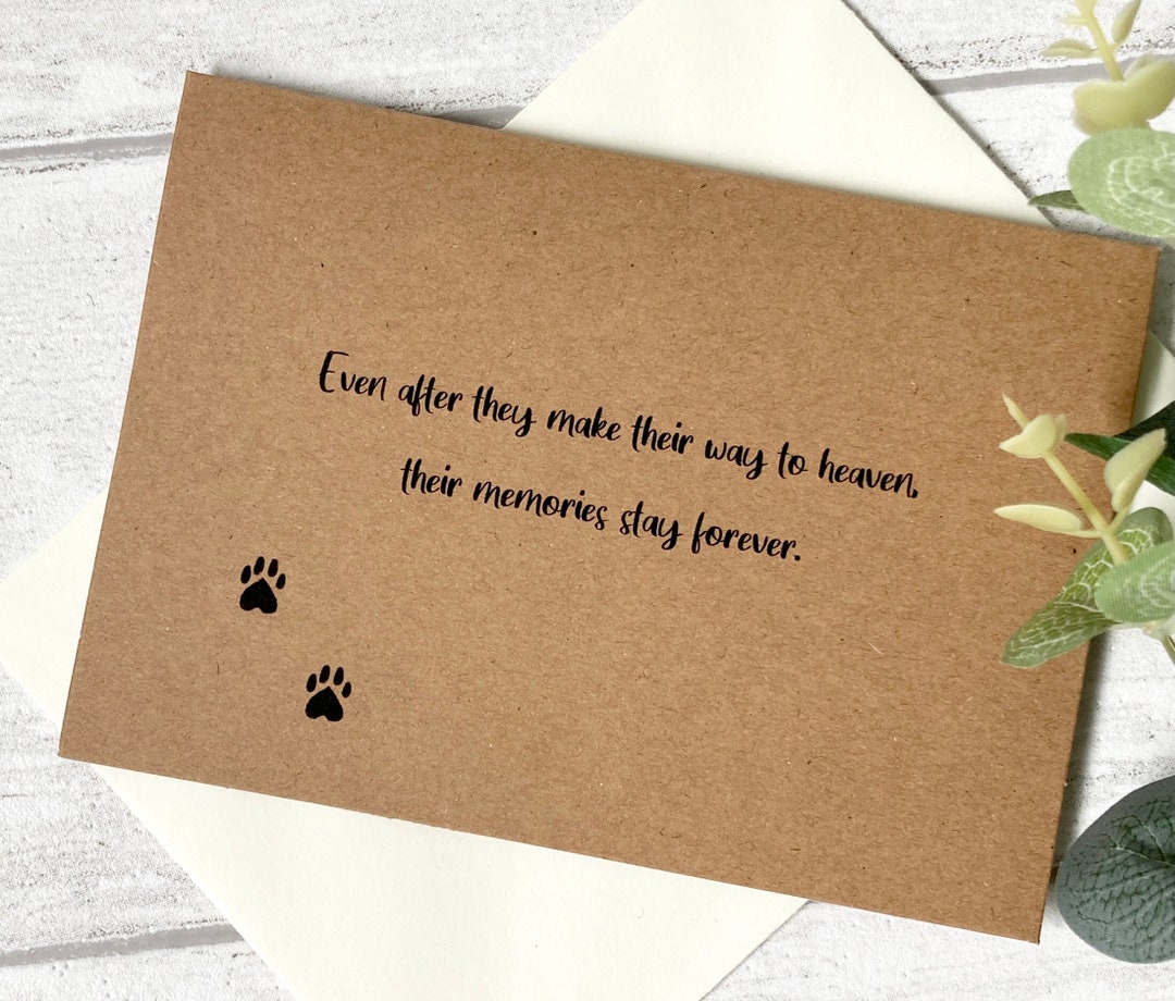 CONDOLENCE CARD Cat Bereavement Sympathy Pet Loss - Etsy