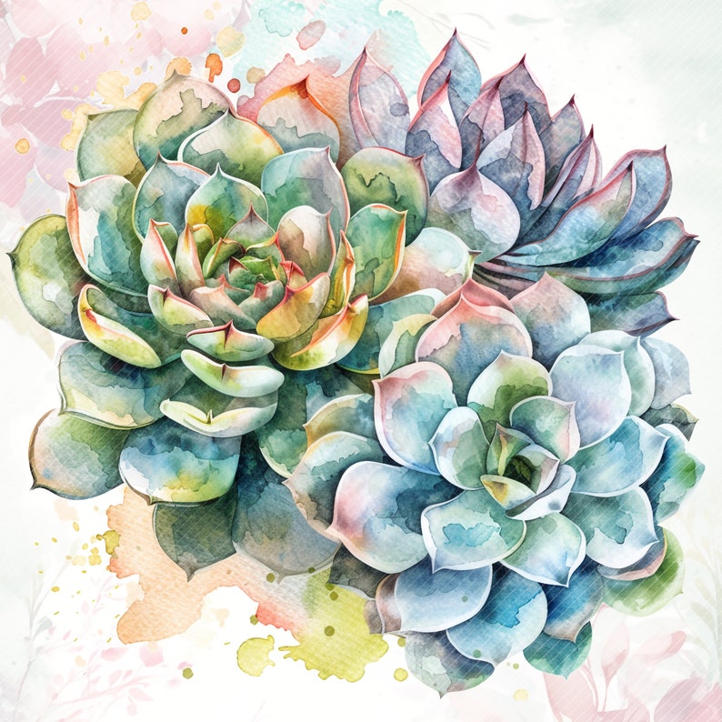 20 Watercolor Succulents + Midjourney Prompt -- Floral Clip Art / Boho ...