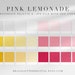 Pink Lemonade Color Palette (procreate Palette & JPG With Hex Codes ...