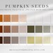 Pumpkin Seeds Color Palette (procreate Palette & JPG With Hex Codes ...