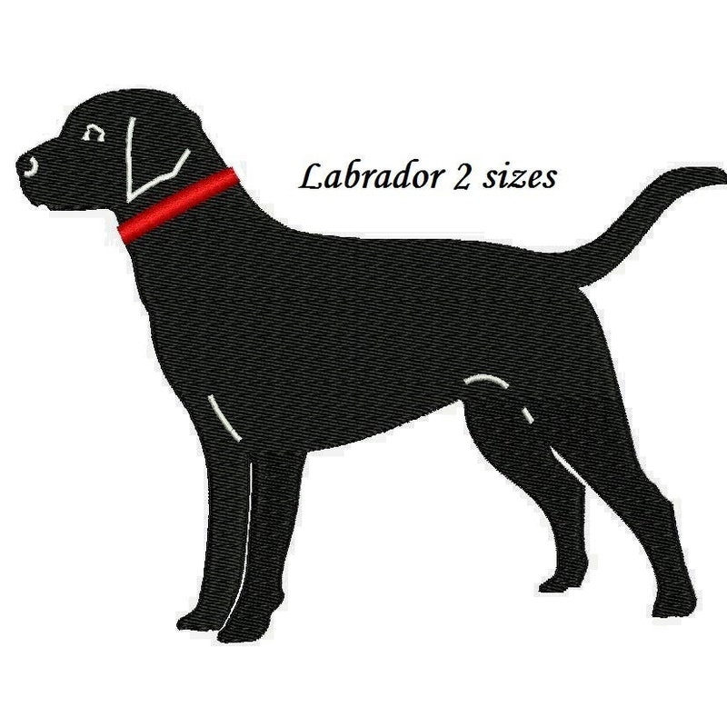 Lab Embroidery Design - Etsy