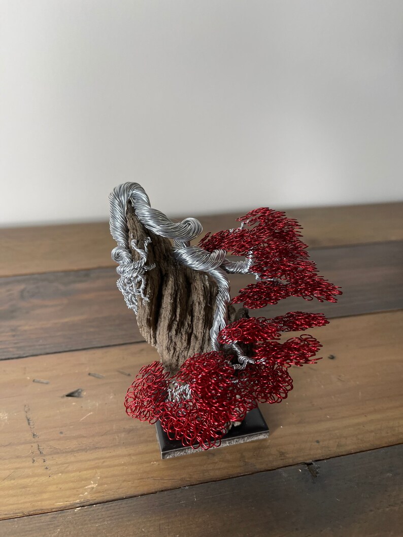 Beautiful Cascading Bonsai Tree Rooted on a Mountain Wire Bonsai Tree ...