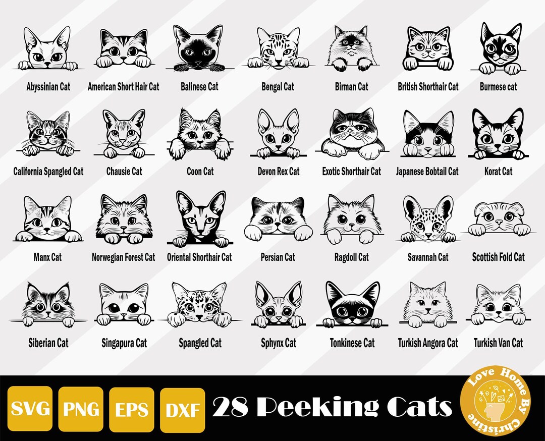 Peeking Cat Svg, Cat Bundle Svg, Cat Svg Bundle, Cat Silhouette Svg ...
