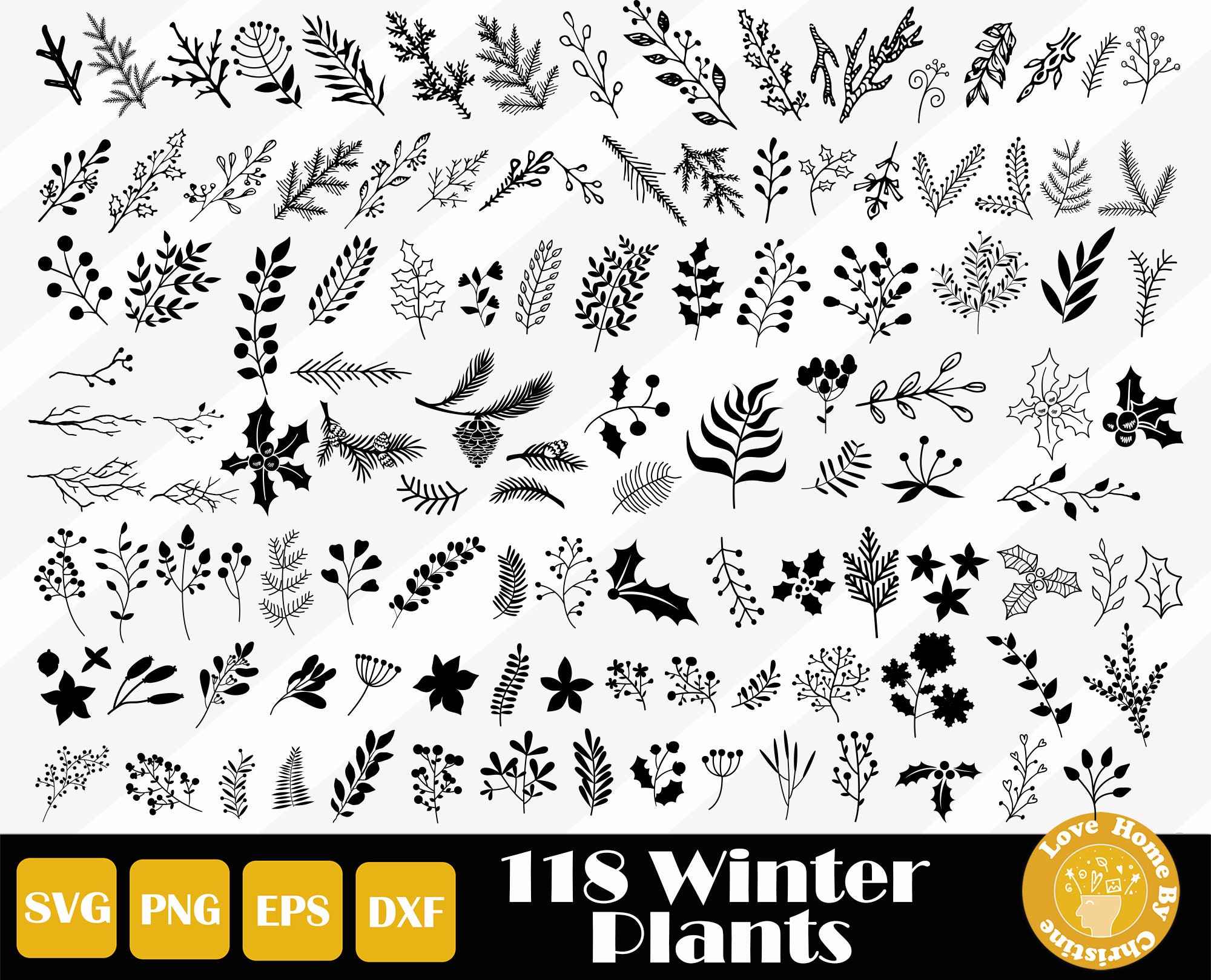 118 Christmas Plants Svg Winter Plants Svg Botanical PNG SVG | Etsy
