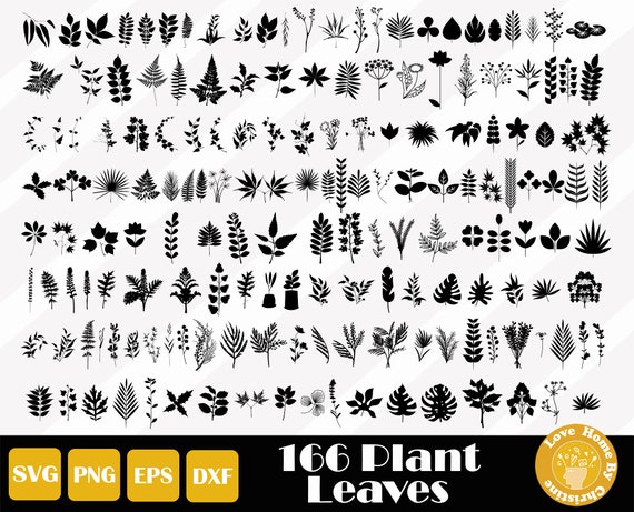 166 Hojas Svg Plantas Svg Hojas Tropicales svg Hojas de | Etsy