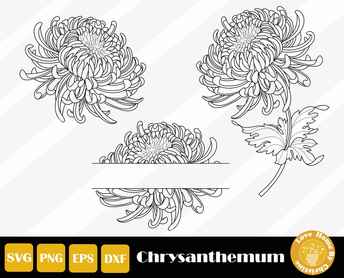 3 Chrysanthemum Svg Botanical Svg Wildflower Stencil Birth | Etsy