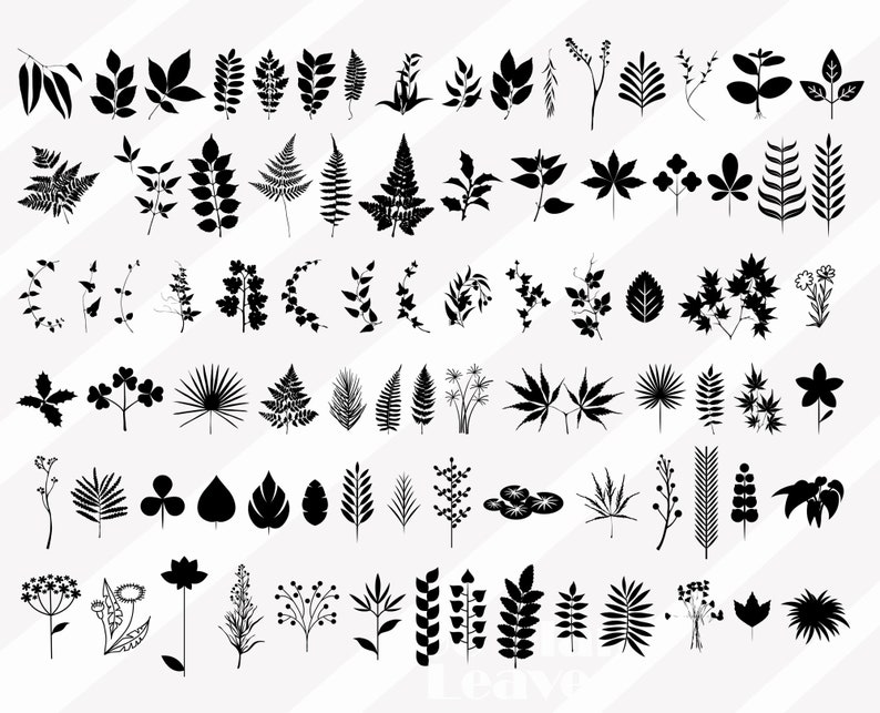 166 feuilles Svg, Plantes Svg, Feuilles tropicales svg, Feuilles de ...