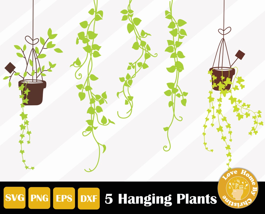 5 Hanging Plants SVG PNG EPS Files for Cricut Silhouette Files, Easy ...