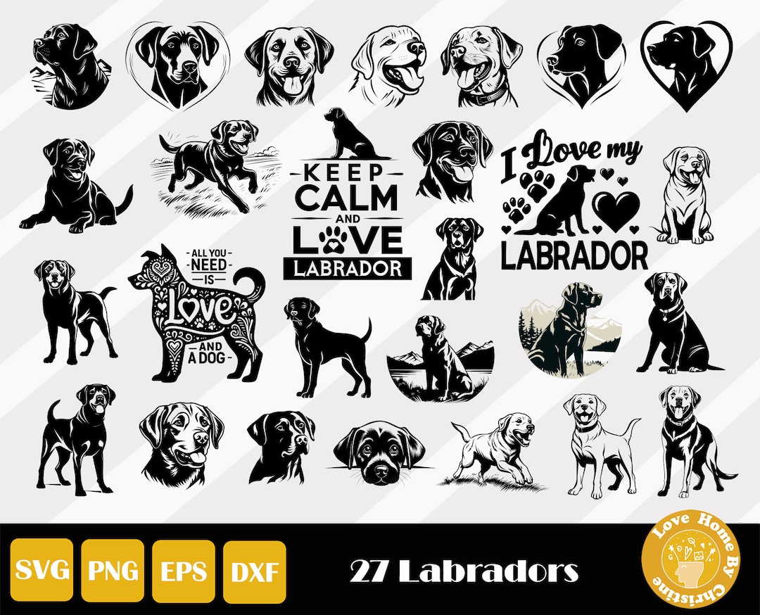 Labrador Svg, Dog Svg, Labrador Retriever, Labrador Silhouette, Dog ...