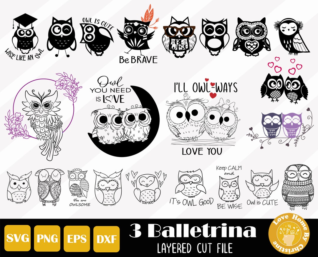22 Owl SVG Bundle, Owl Love Svg, Wise Owl Svg, Owl Cut File for Cricut ...