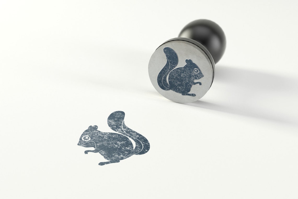 24 Squirrel Svg Squirrel Clipart Fall Clipart Squirrel Cut | Etsy