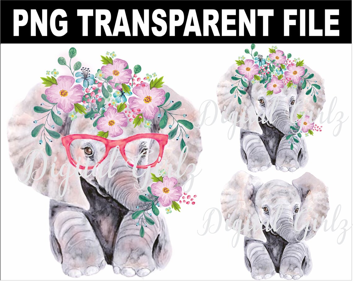 Watercolor Elephant PNG. Elephant With Glasses. Nerd Glasses. Baby ...