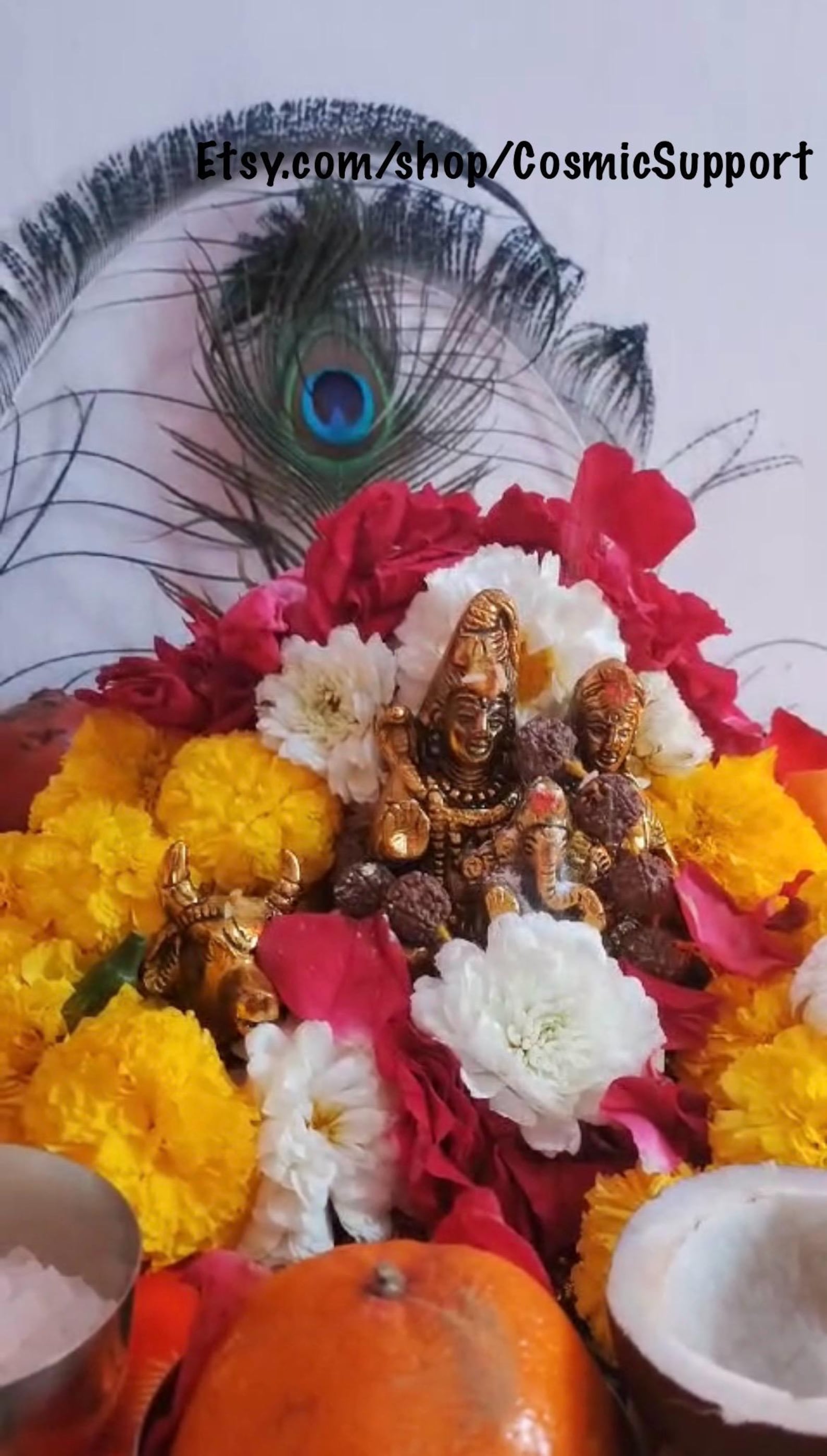 Shiv Parvati Puja Ceremony for Family Blessings - Etsy