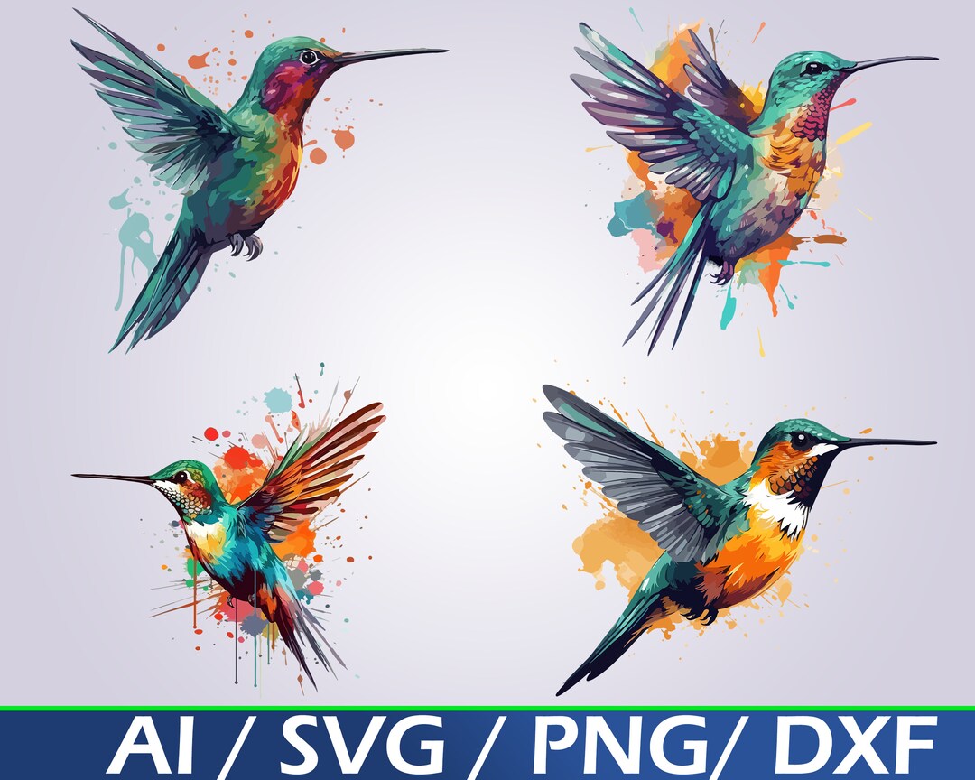Humming Bird SVG Bundle Digital Download Humming Bird Clip - Etsy
