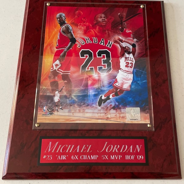 Michael Jordan Display - Etsy