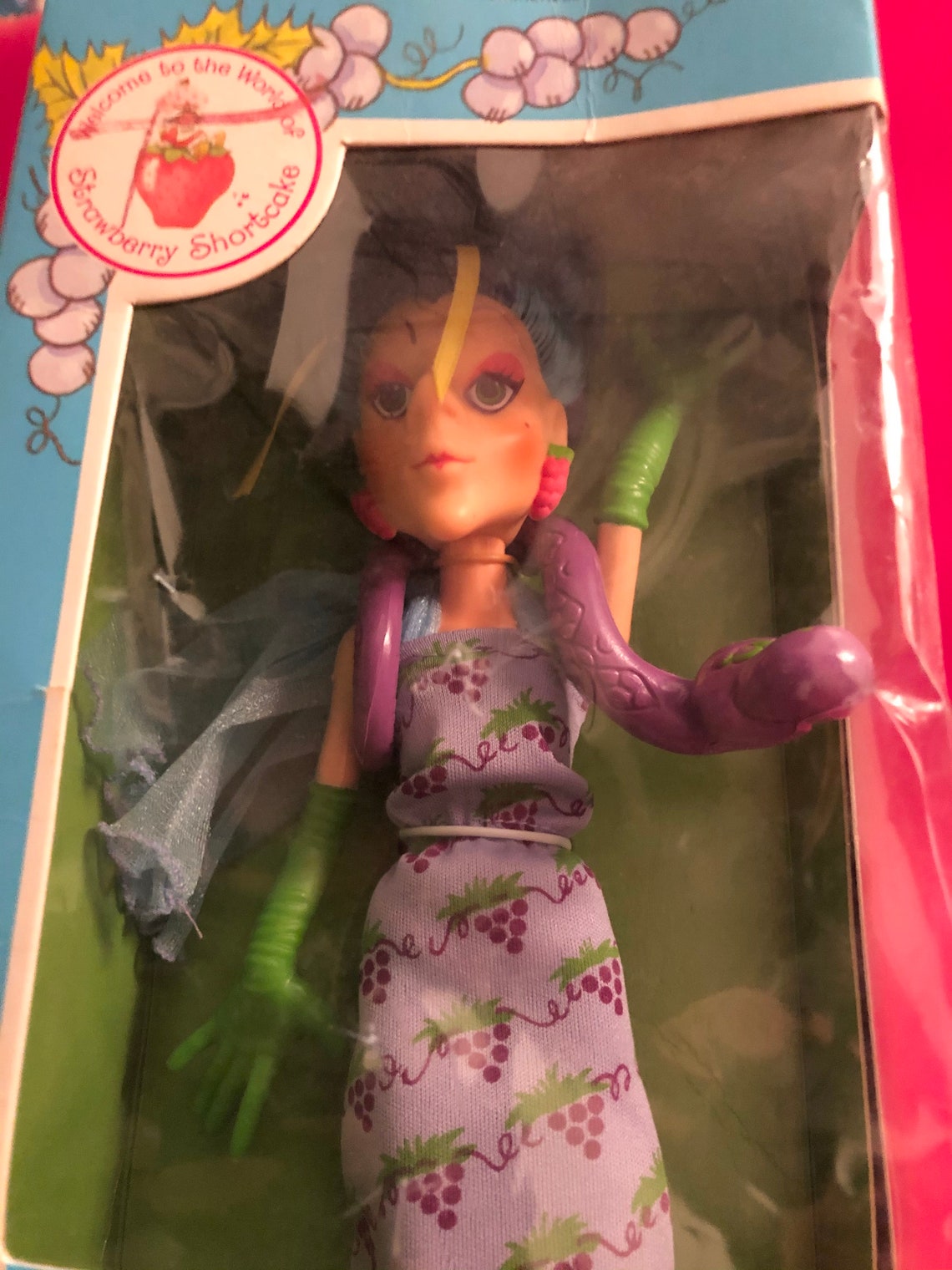 Sealed in Box: SOUR GRAPES doll & Dregs pet New in Box | Etsy