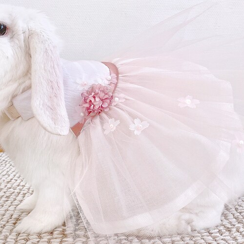 Mini Dot Pattern Harness for Only Rabbit Bunny Dress Harness | Etsy