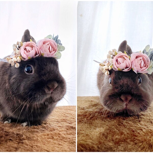 Rabbit and Crown - Etsy