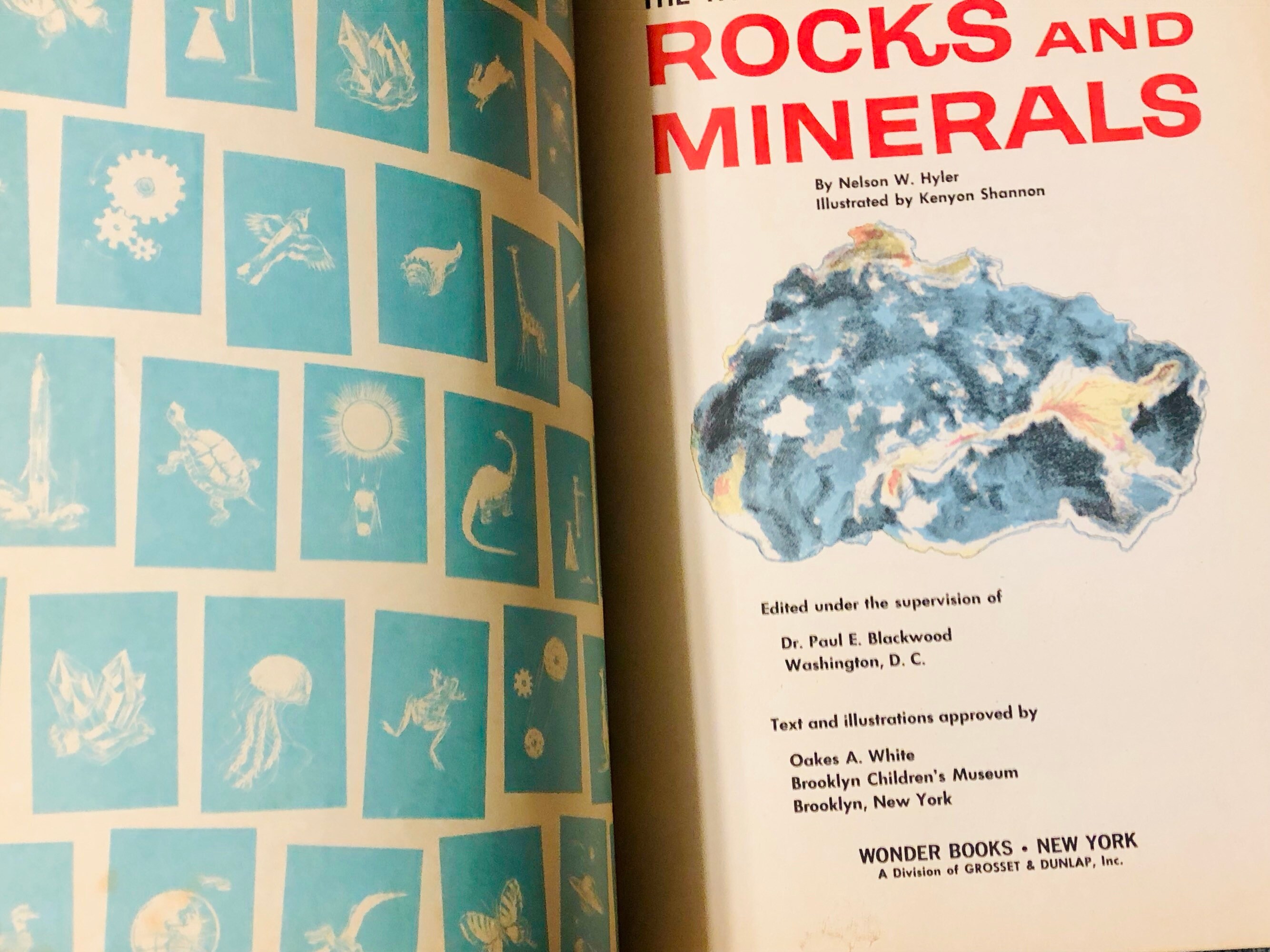 The How and Why Wonder Book of Rocks and Minerals - Etsy