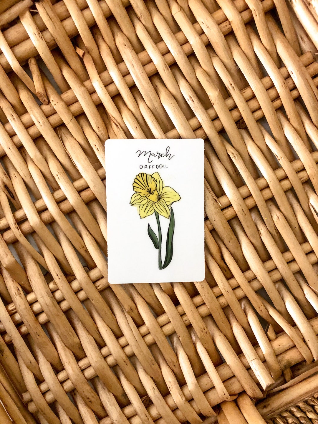 Springtime March Daffodil Decal Water-resistant Vinyl Sticker - Etsy