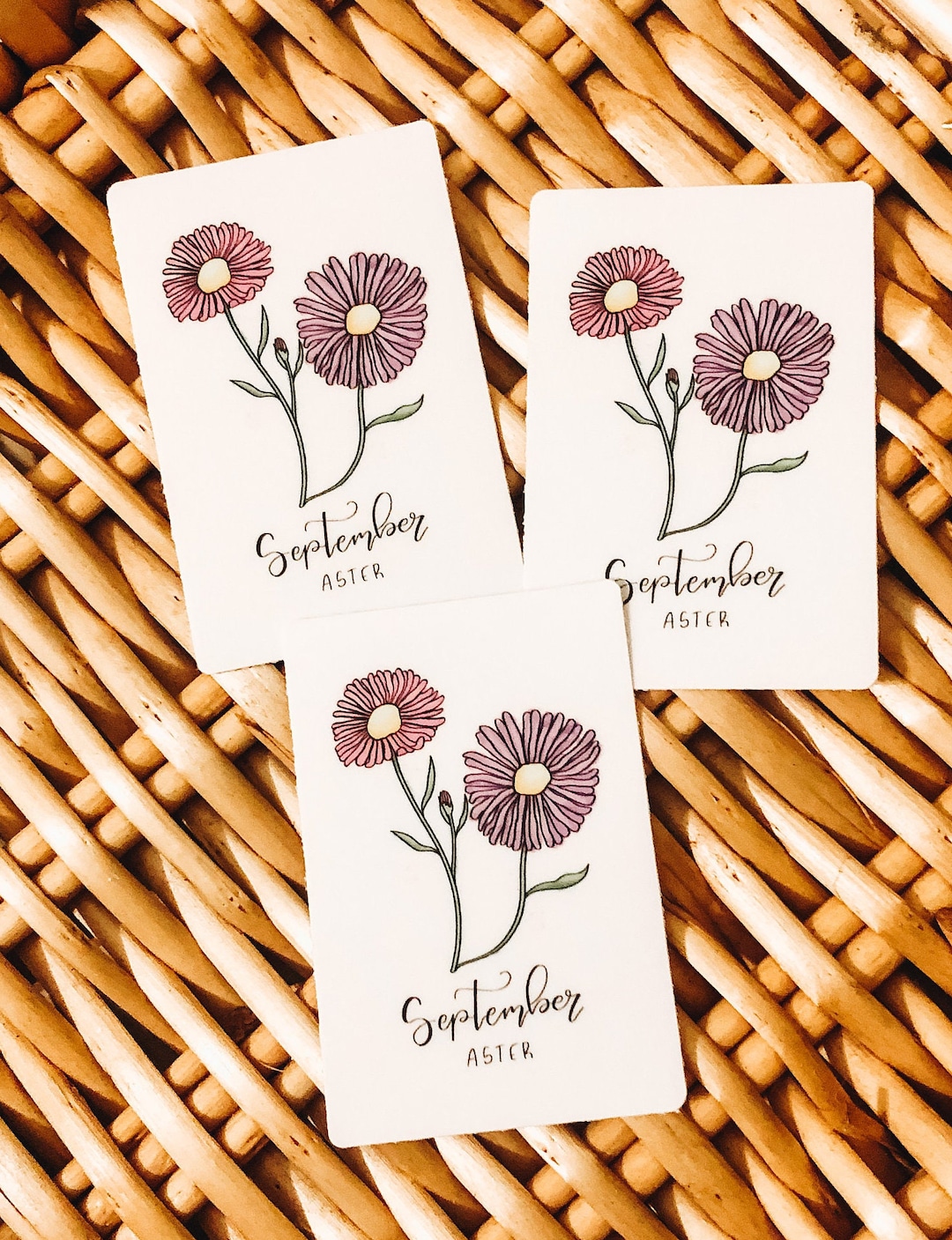September Aster Sticker || Waterproof || Vinyl - Etsy