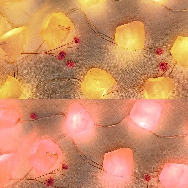Rose String Lights - Etsy