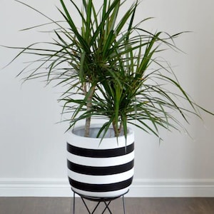 Rugby Plant Pot Black and White Striped, Plant Pots With Drainage ...