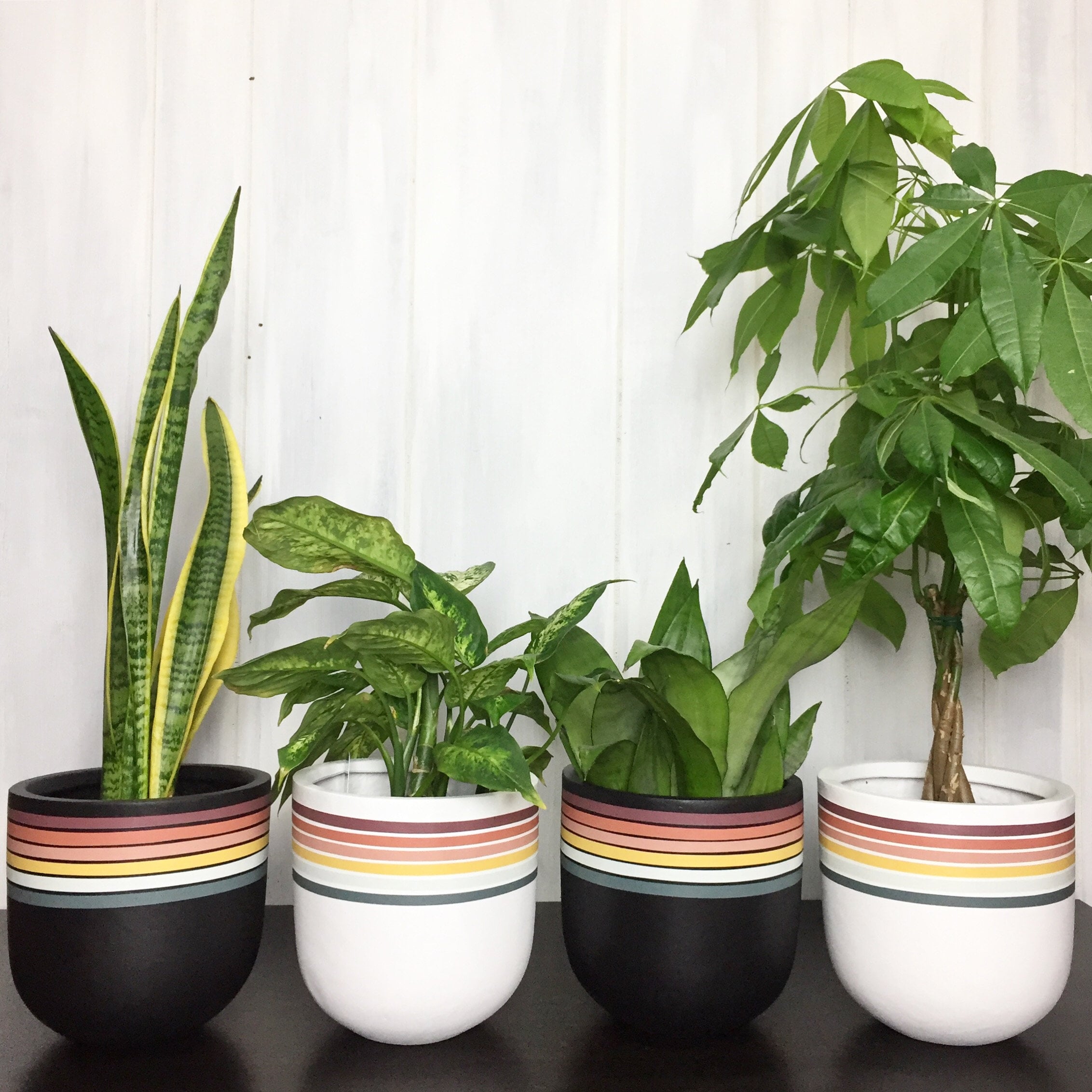 Retro Planter, Black Rainbow Stripe Planter With Drainage Hole, Modern ...