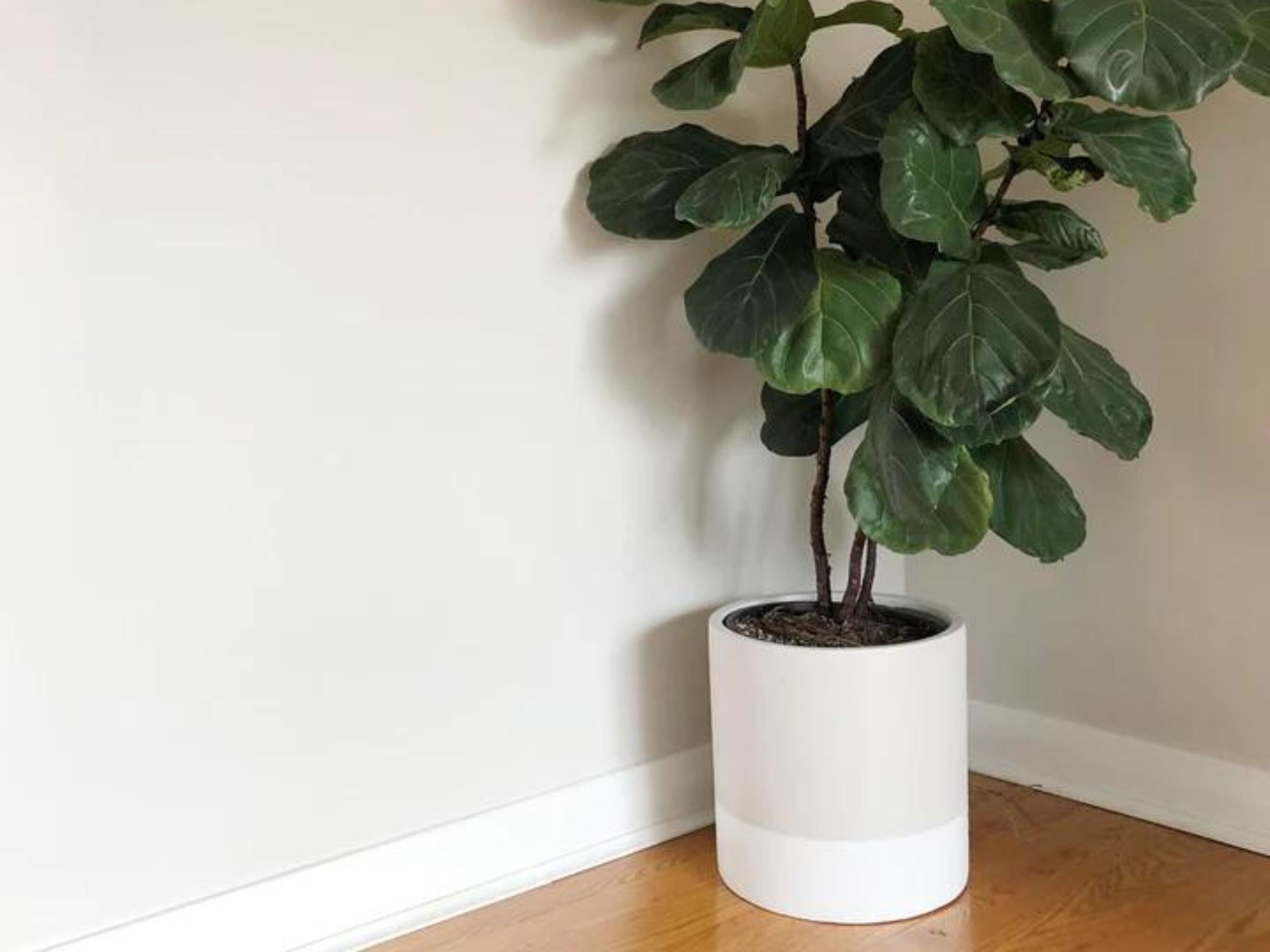 Divided Cylinder Plant Pot Large Decorative Planter Unique - Etsy