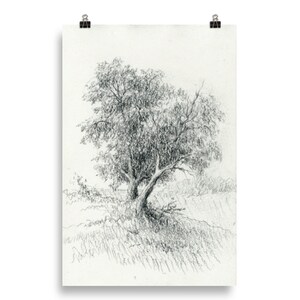Oak Tree Drawing Old Tree Sketch Art Print Vintage Wall Art Farmhouse ...