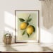 Small Oil Painting Lemon Kitchen Art Prints Minimalist Wall Art Oil ...