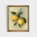 Small Oil Painting Lemon Kitchen Art Prints Minimalist Wall Art Oil ...